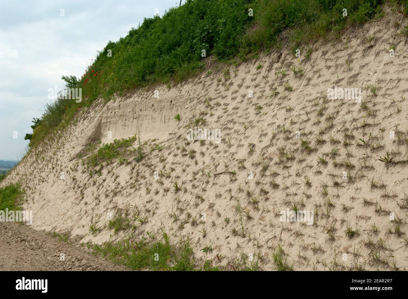 Loess soil hi-res stock photography and images - Alamy