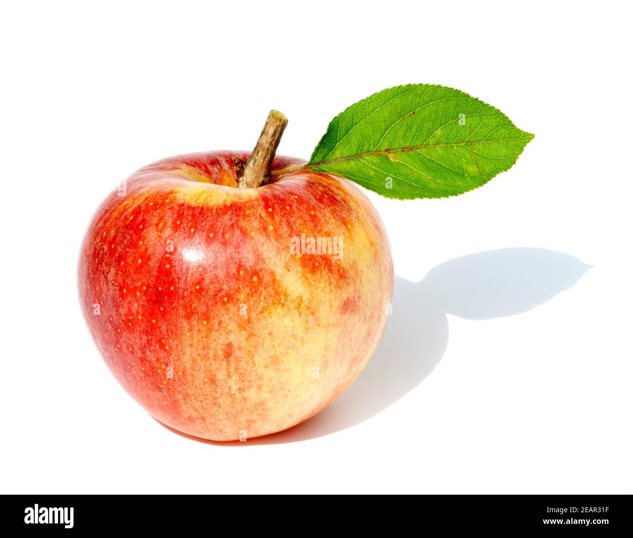 Baum apfelbaum Cut Out Stock Images & Pictures - Alamy