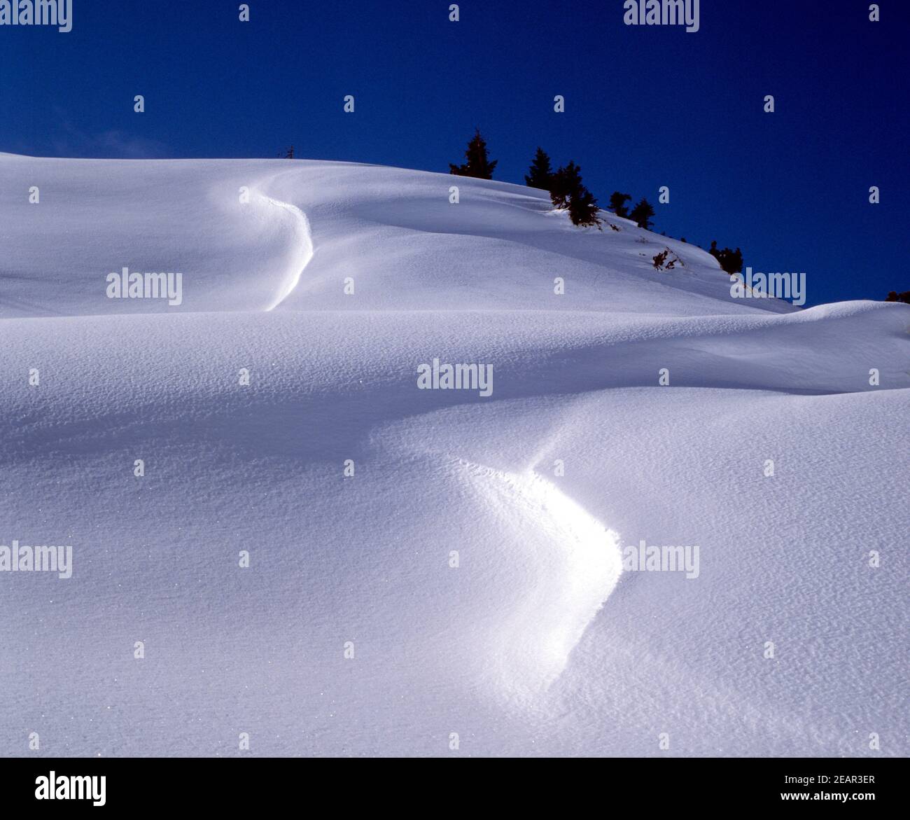 Kalte sonne hi-res stock photography and images - Alamy