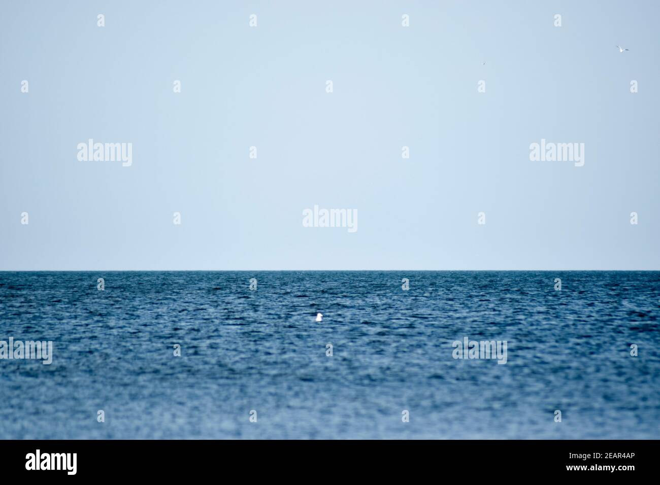 Sea line of the horizon. Sea and sky. The waves and glare of the sun ...