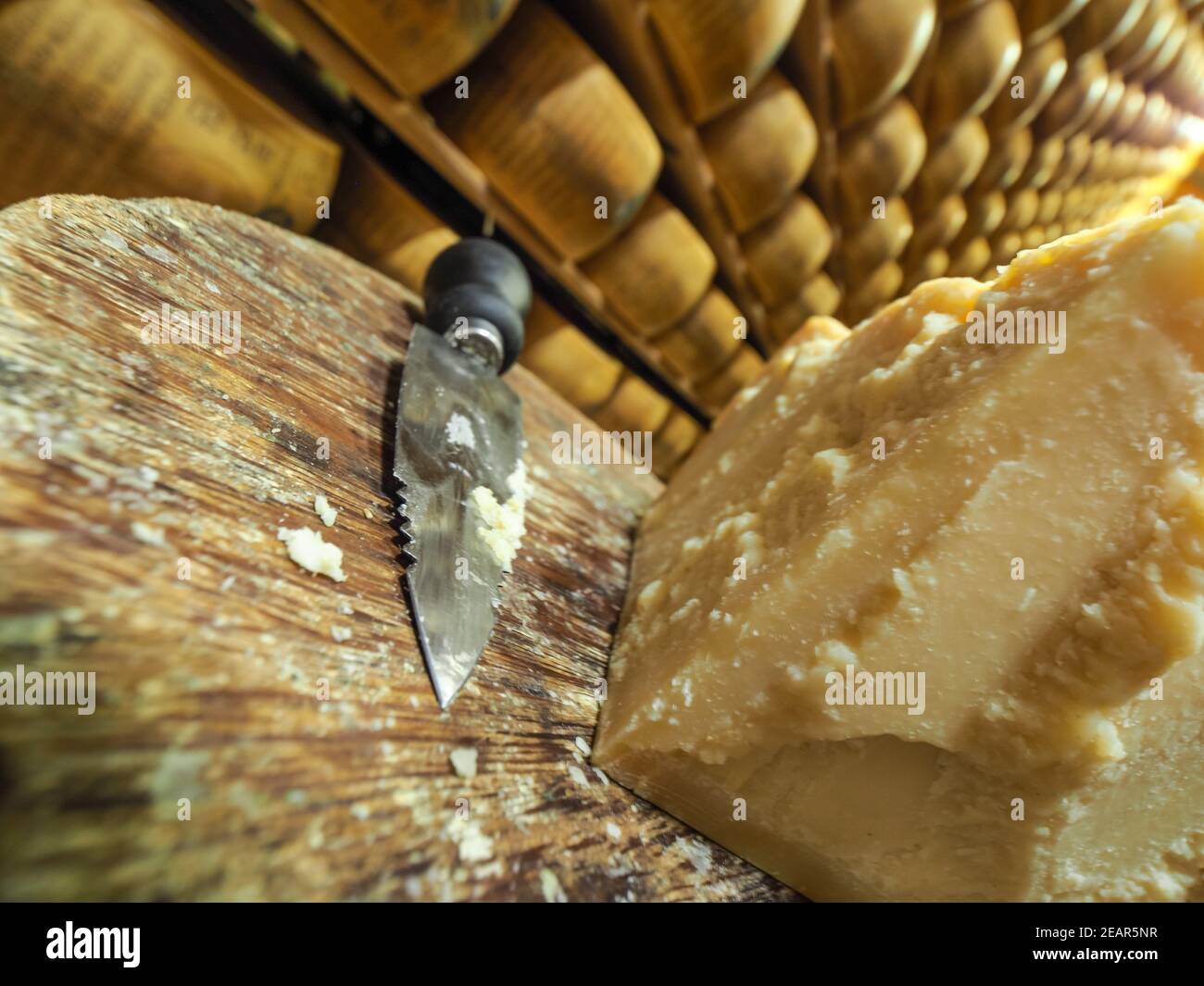 PARMA, ITALY - Feb 09, 2021: parmesan cheese wheel at dairfarm Stock ...