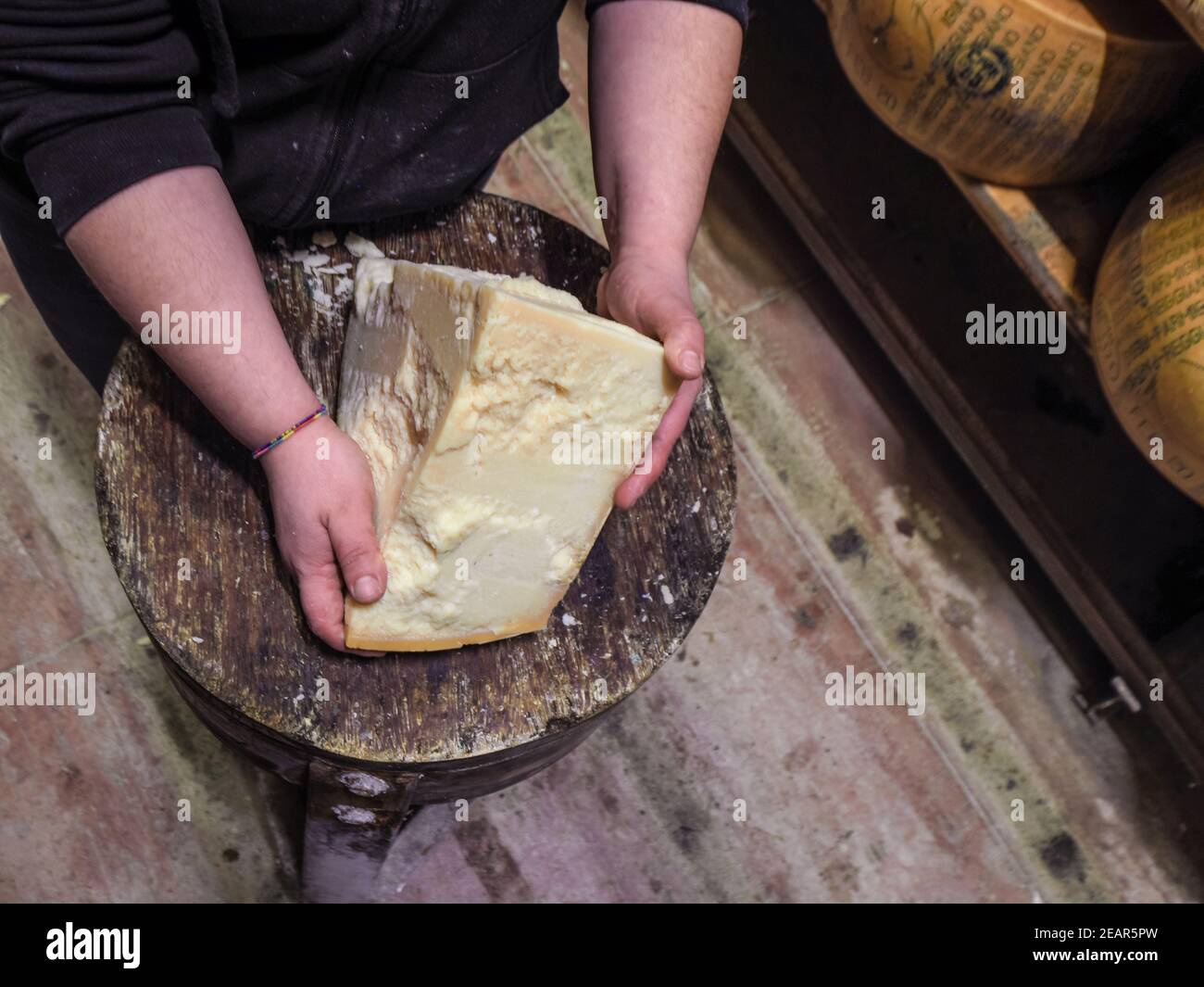PARMA, ITALY - Feb 09, 2021: parmesan cheese wheel at dairfarm Stock ...