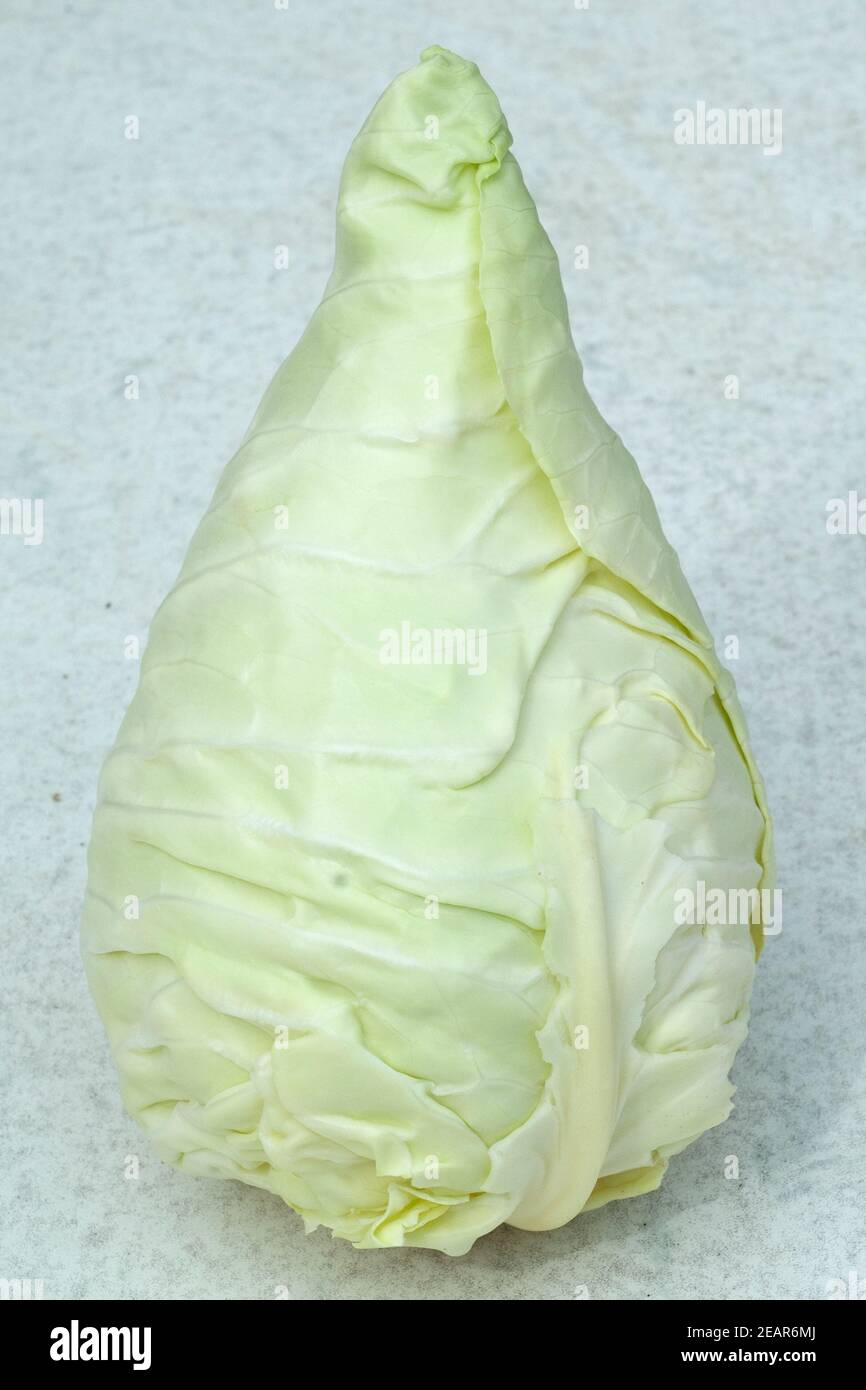 Spitzkohl spitzkraut weisskohl hi-res stock photography and images - Alamy