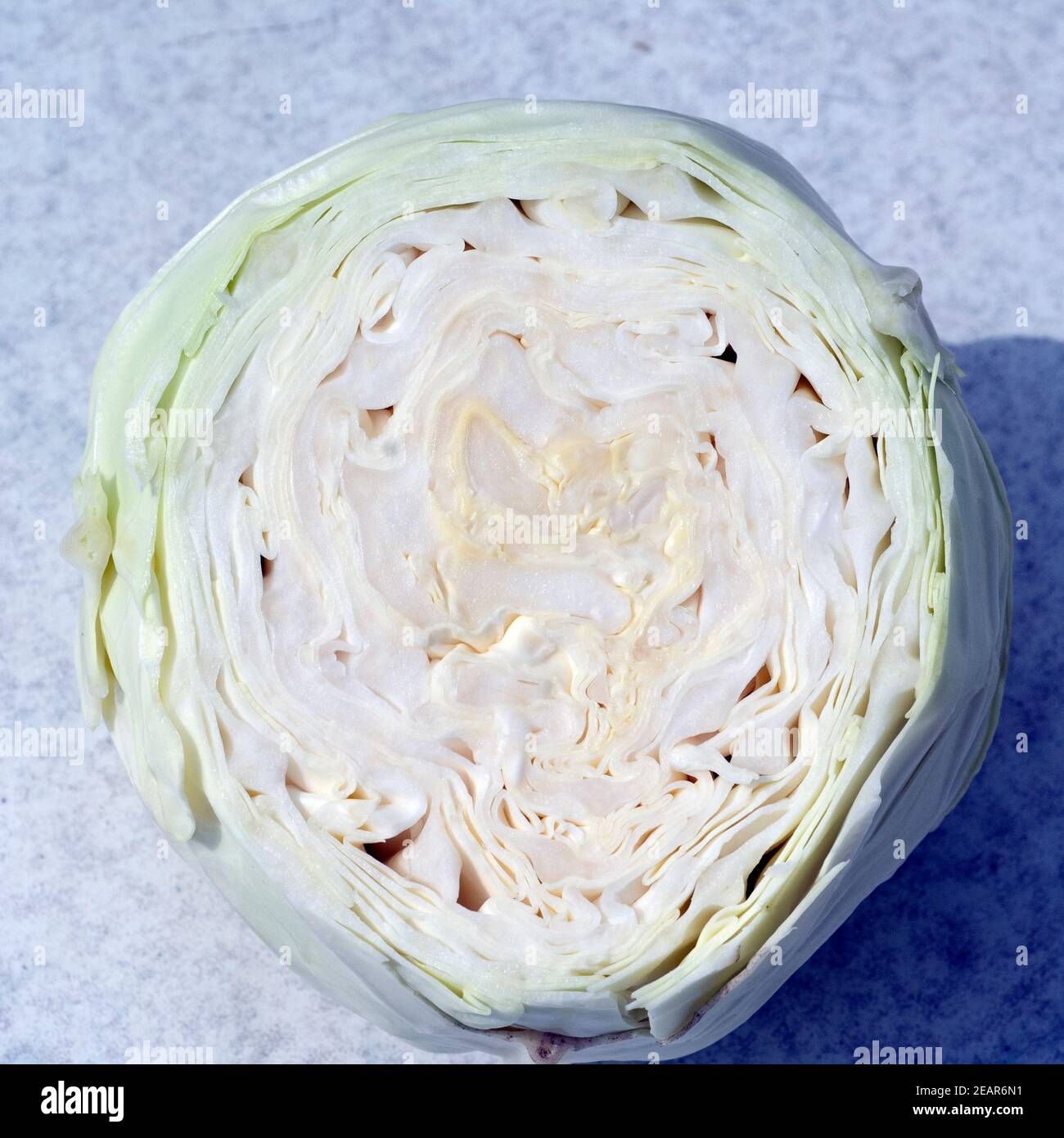 Spitzkohl, Spitzkraut, Weisskohl Stock Photo - Alamy