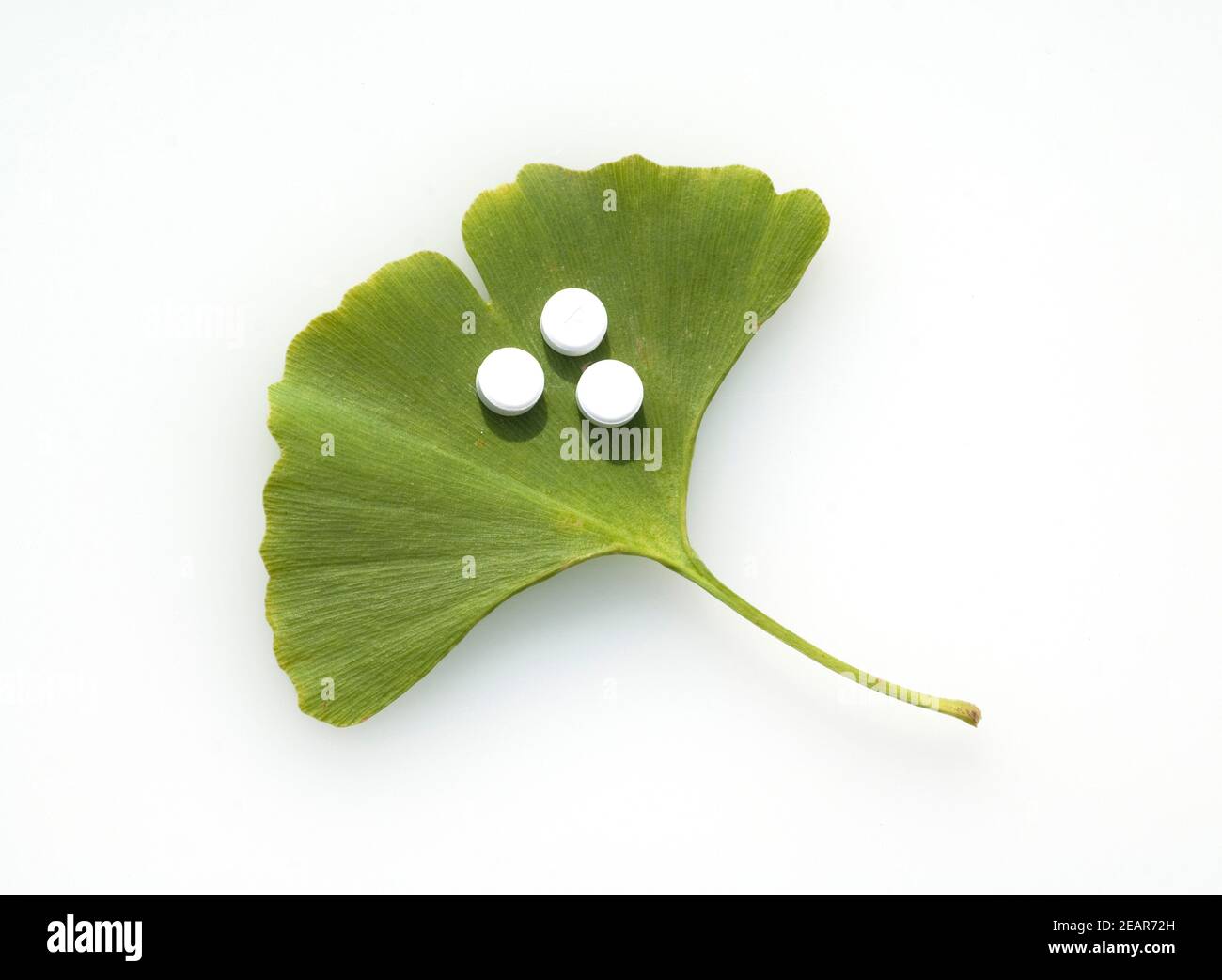 Ginkgo biloba, Ginkgonadel, Tablette Stock Photo - Alamy