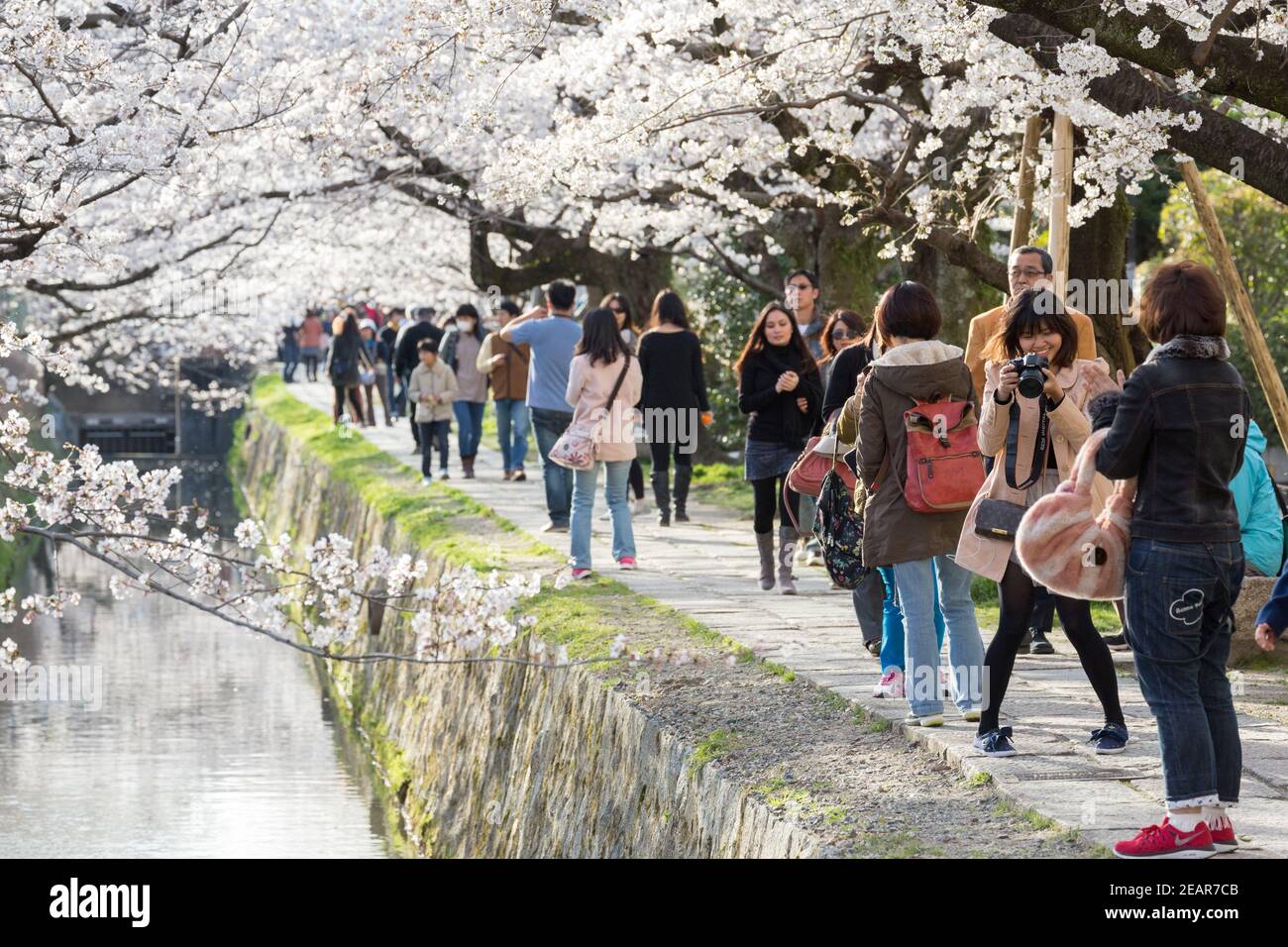 Kyoto Japan Visitors walk along the Philosopher's Path, a popular ...