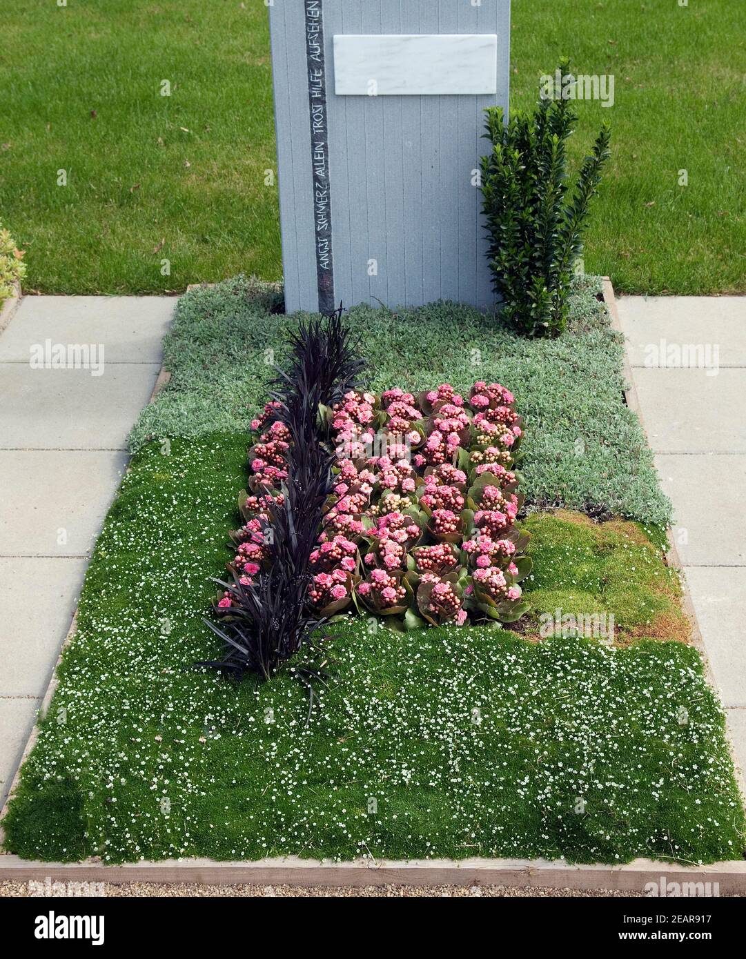 Sternmoos High Resolution Stock Photography and Images - Alamy