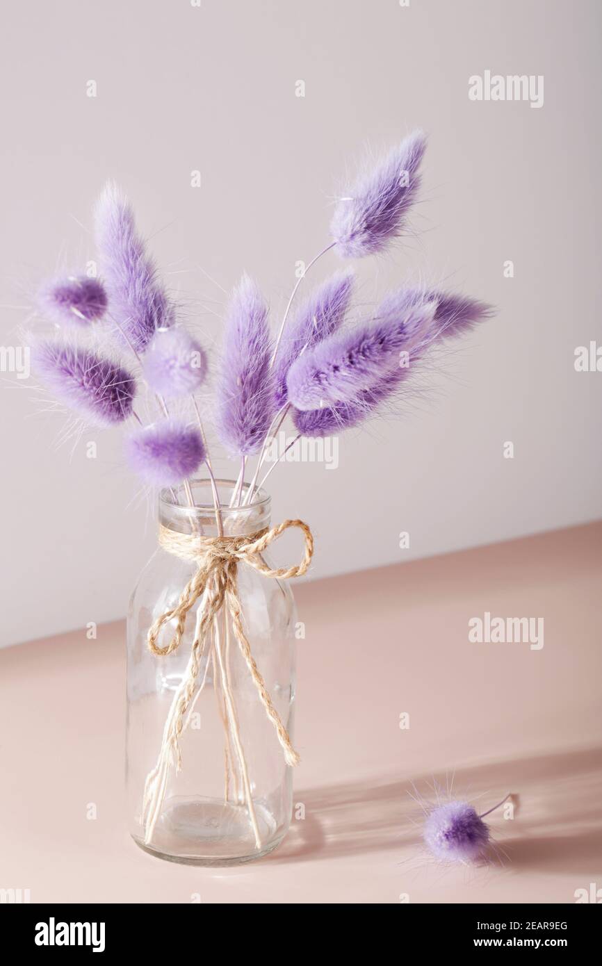 Rabbit Tail Grass Dried Flowers Bouquet in vase on white and beige ...