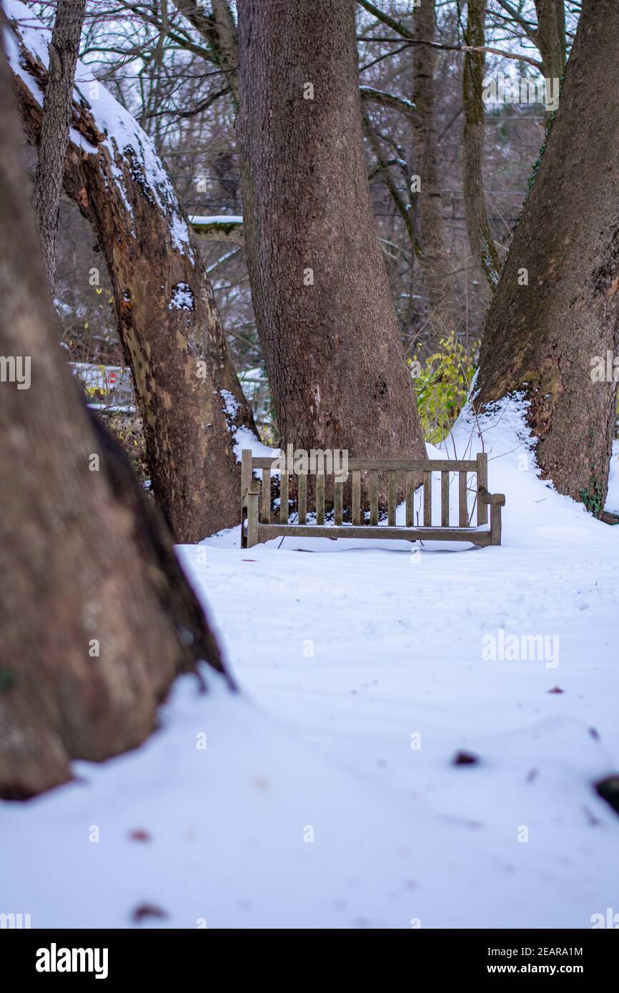 Bench nature hi-res stock photography and images - Alamy