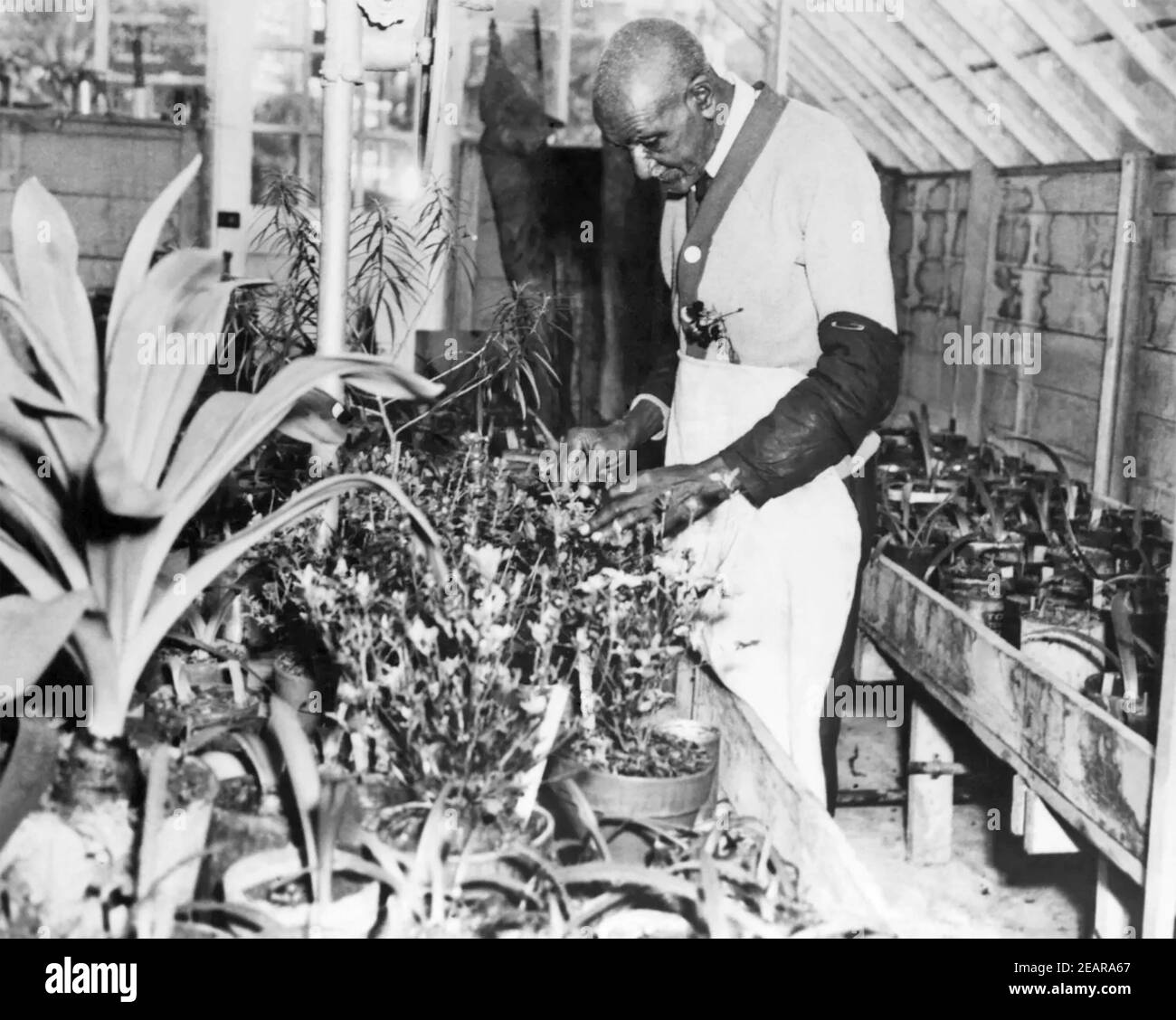 George washington carver hi-res stock photography and images - Alamy