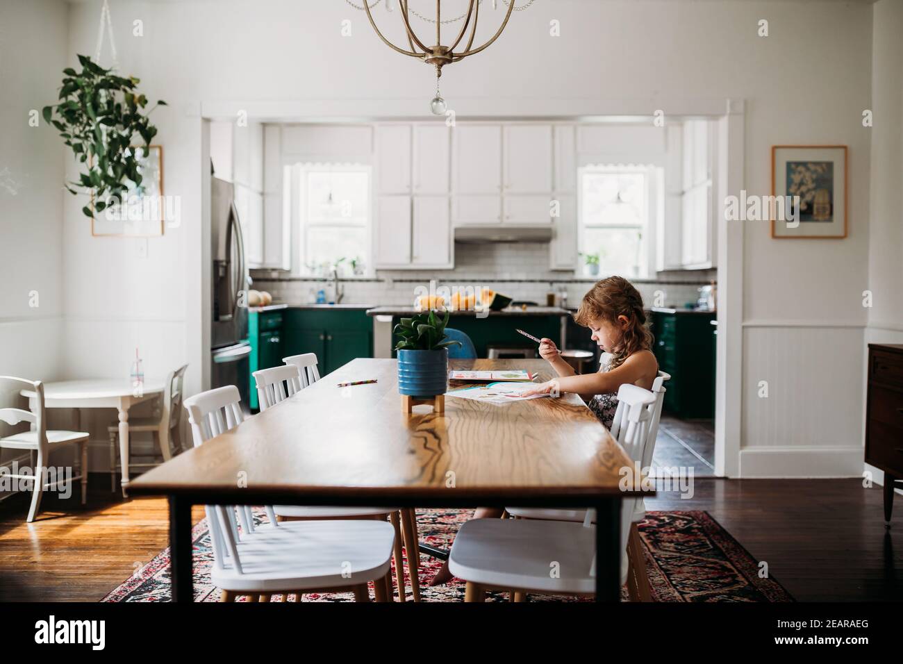 Young girl doing school work at dining room table Stock Photo - Alamy