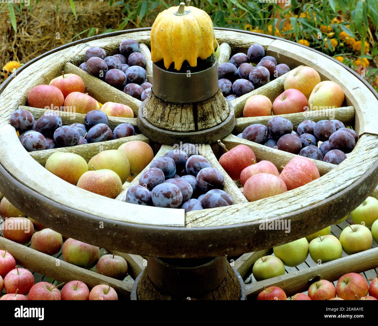 Obstarrangement hi-res stock photography and images - Alamy