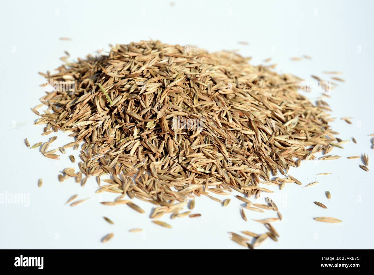 Rasensamen hi-res stock photography and images - Alamy