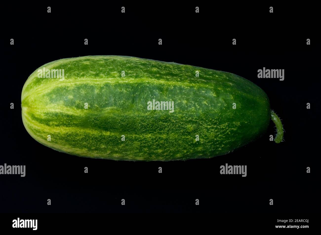 Gurke hi-res stock photography and images - Alamy