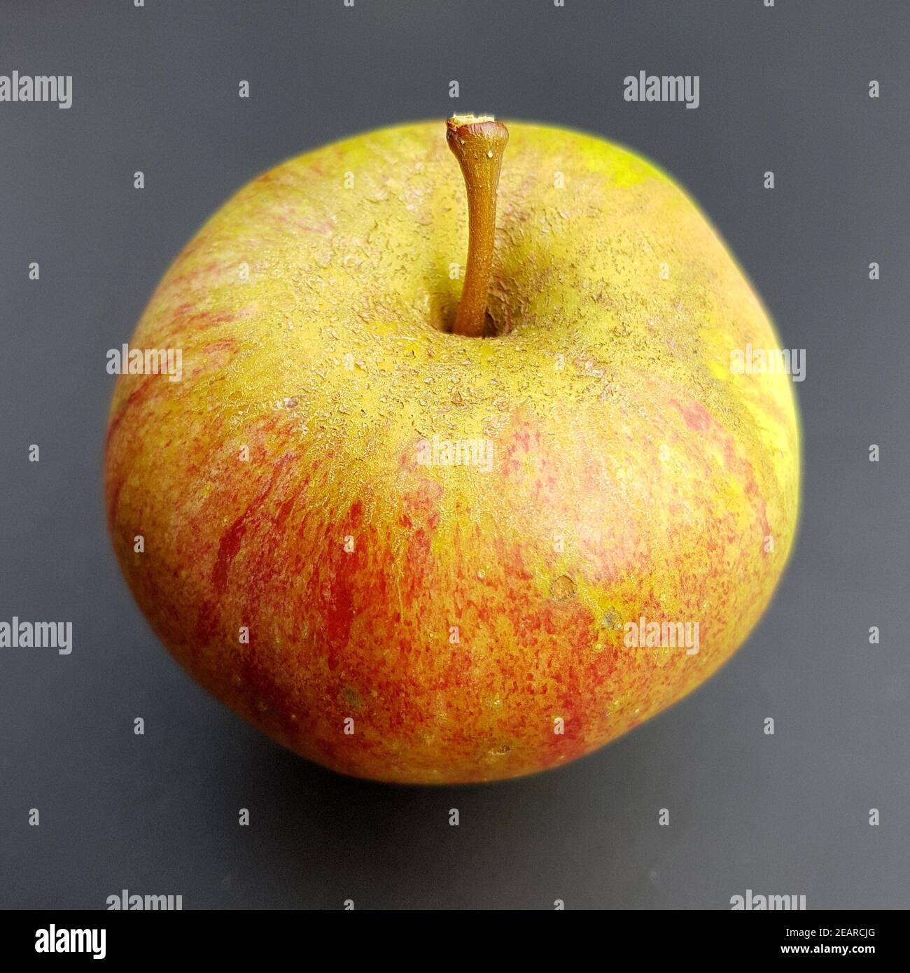 Otterndorfer Prinz, Hadelner Prinz, Alte Apfelsorten Stock Photo - Alamy