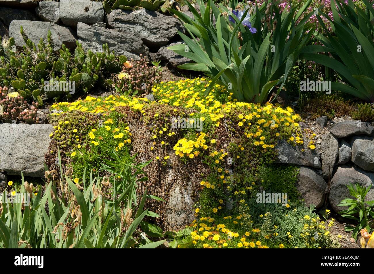 Steingarten hi-res stock photography and images - Alamy