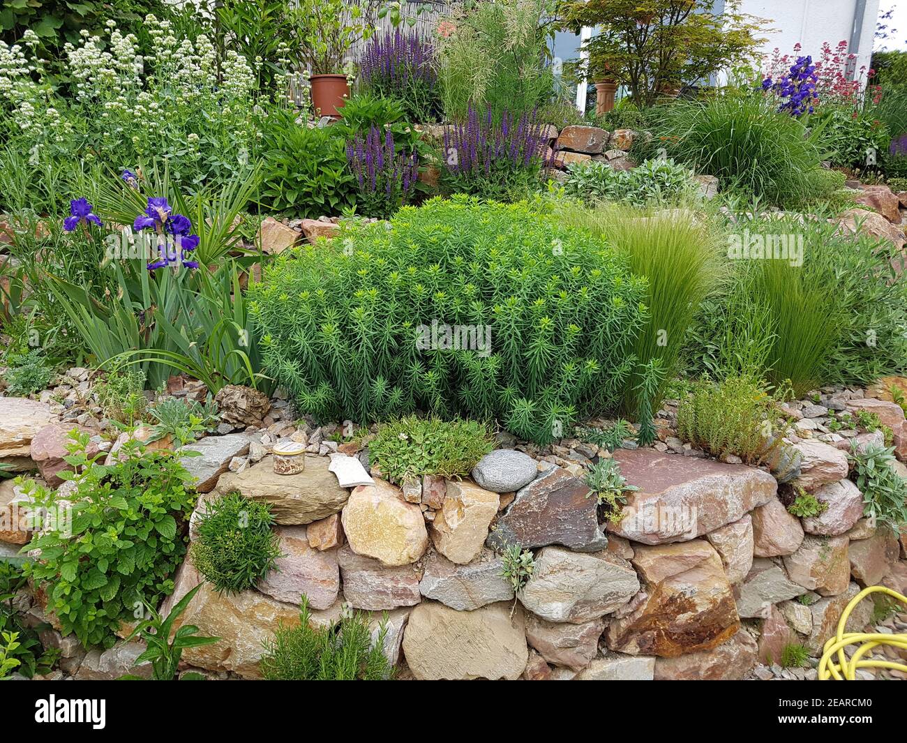 Steingarten design hi-res stock photography and images - Alamy