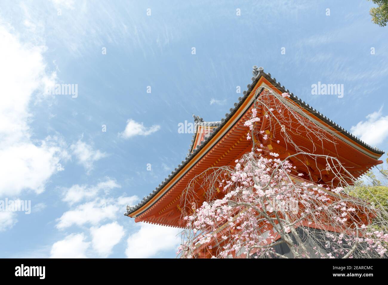 Kyoto Japan Ninnaji Temple: Shoro Belfry With Sakura, or Cherry ...