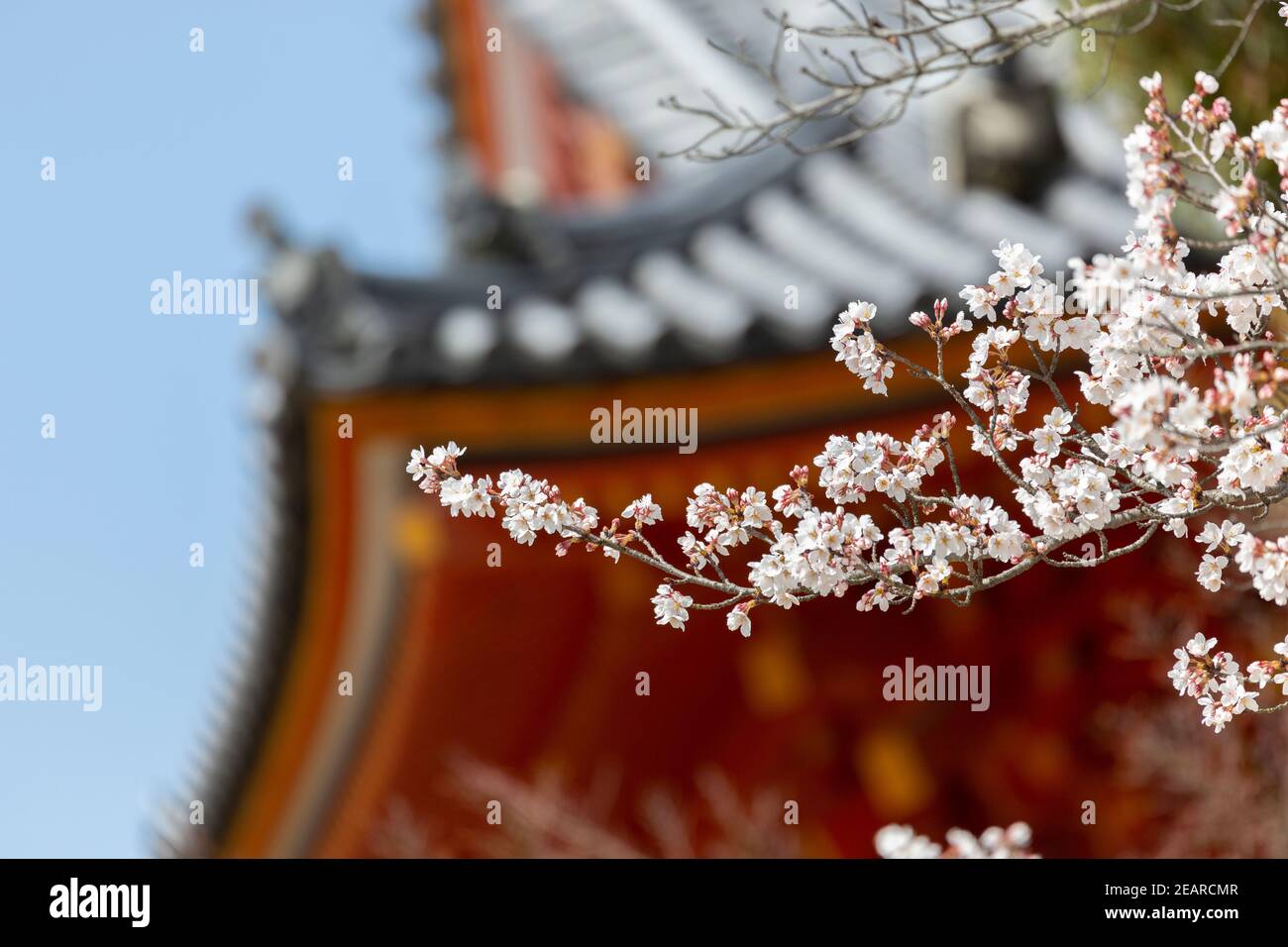 Ninnaji temple hi-res stock photography and images - Alamy
