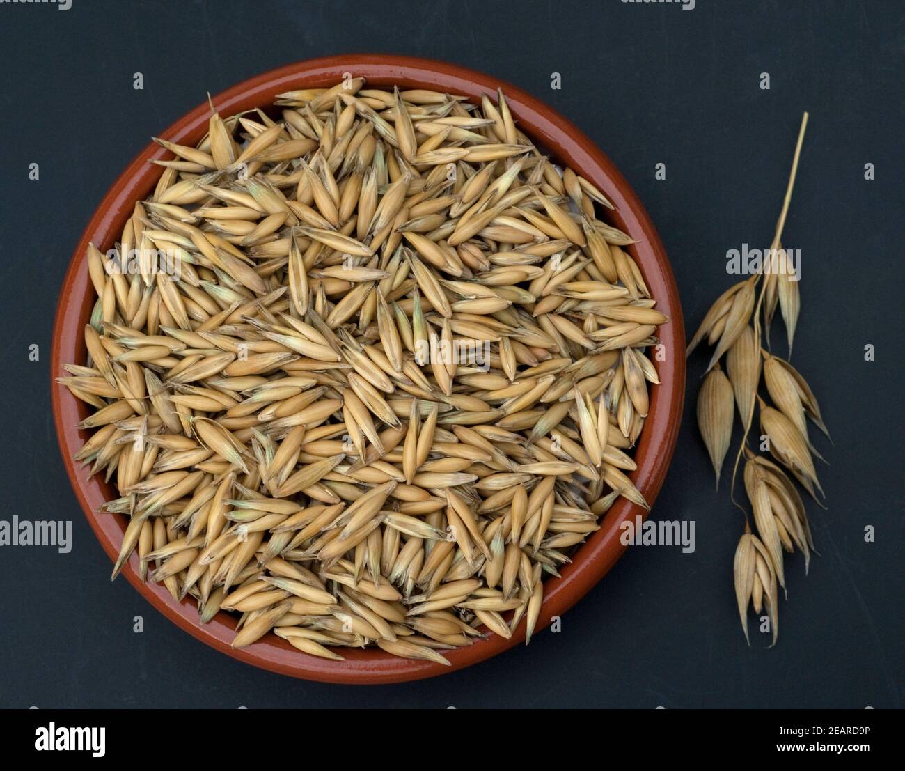 Haferkorn hi-res stock photography and images - Alamy