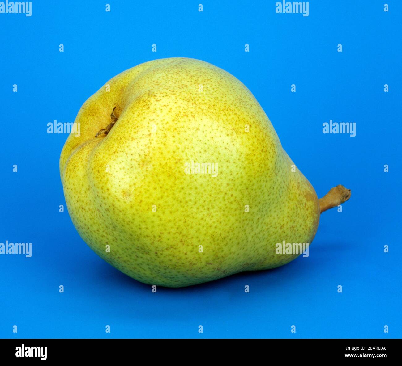 Birnen am baum hi-res stock photography and images - Alamy