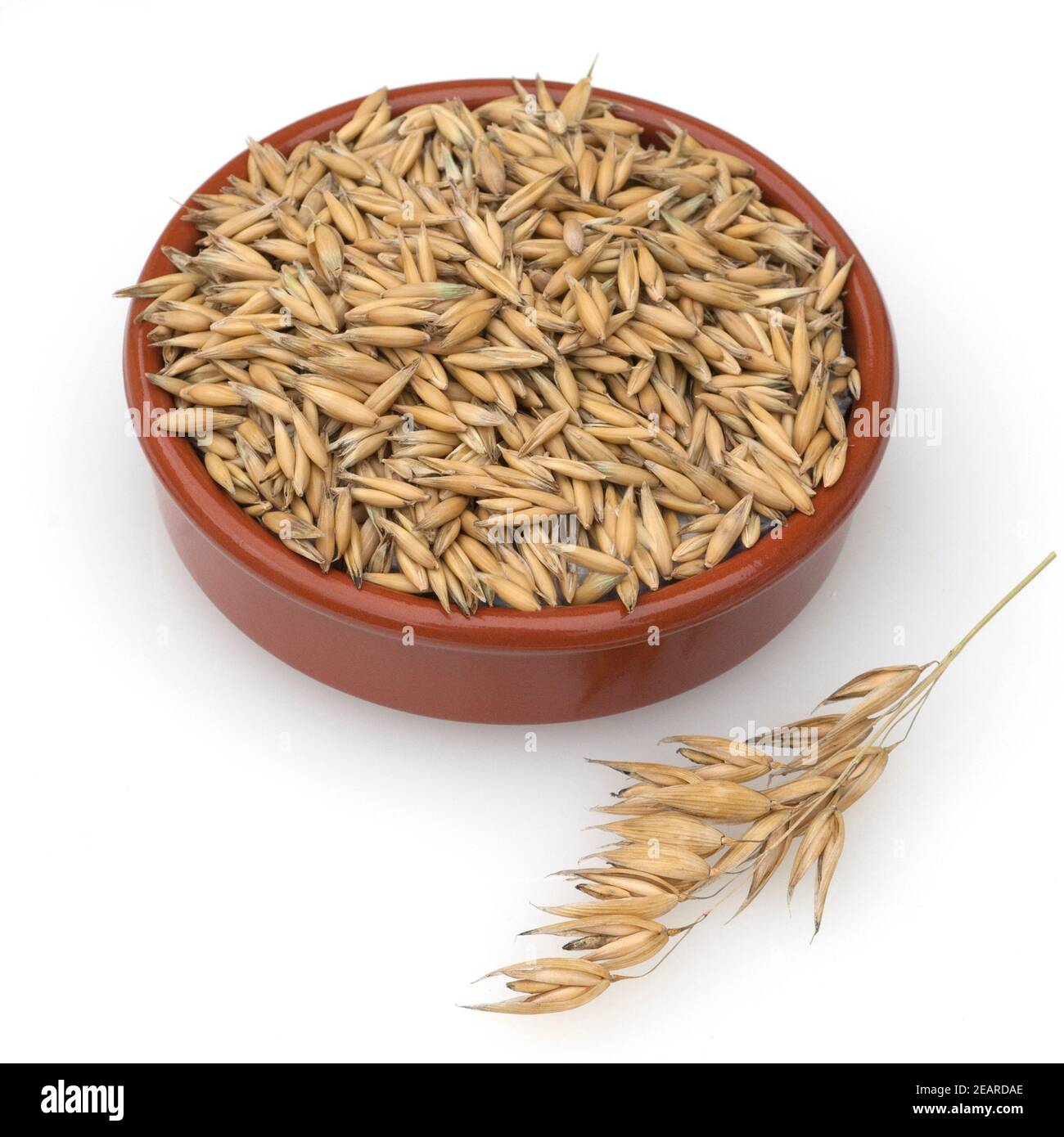 Haferkorn hi-res stock photography and images - Alamy