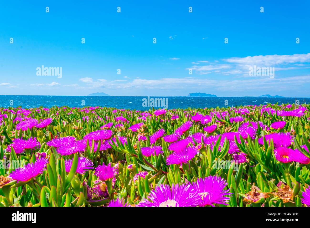 Sicily marsala port hi-res stock photography and images - Alamy