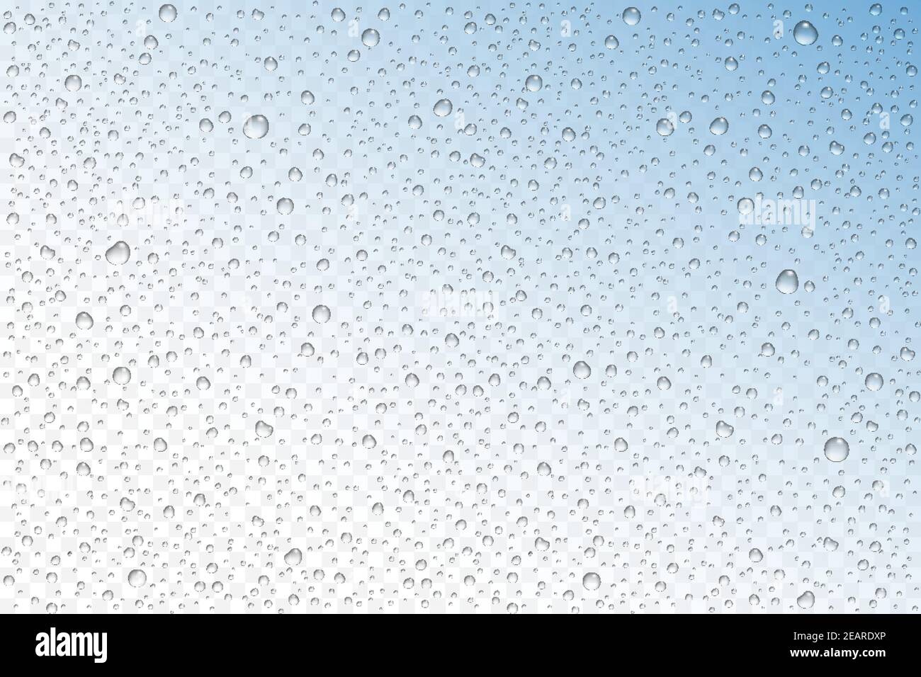 Vector realistic water drops condensed on transparent background. Rain ...