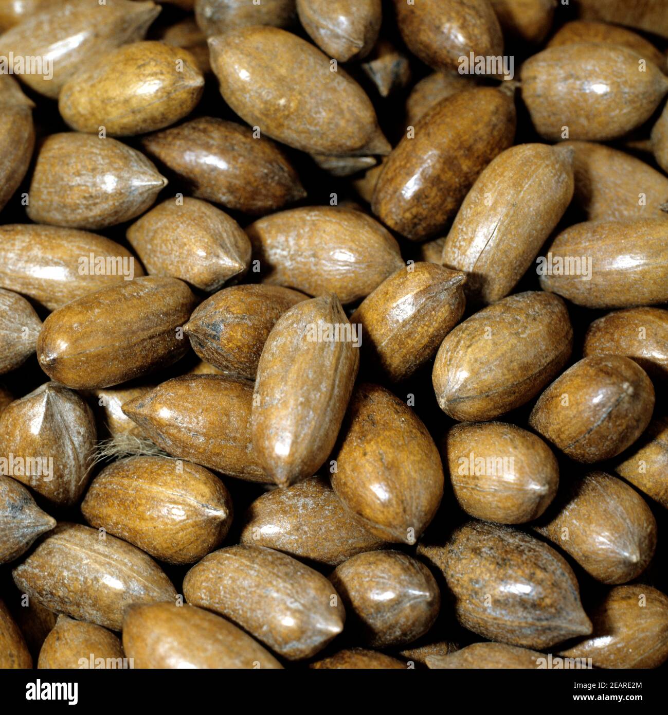 Nordamerika hi-res stock photography and images - Alamy