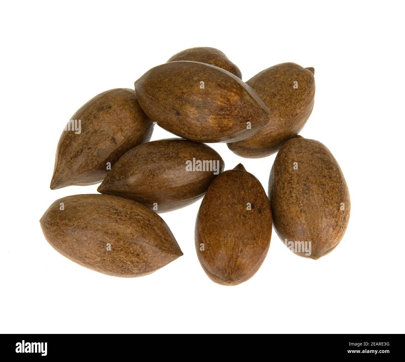 Pecannuesse hi-res stock photography and images - Alamy