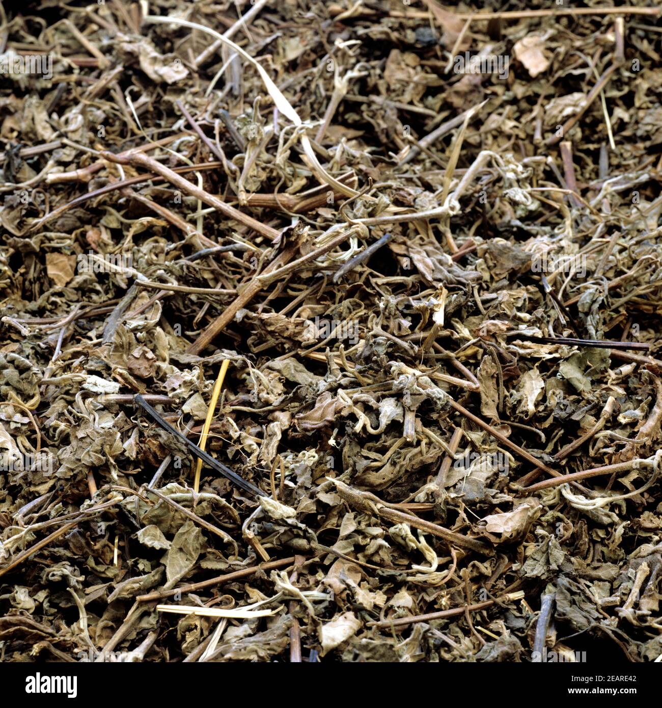 Patschuli hi-res stock photography and images - Alamy