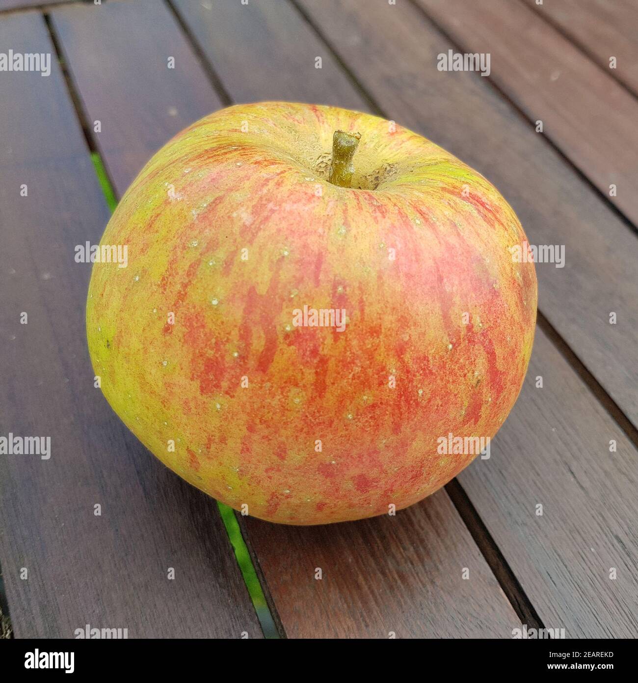 Hansa prinz hi-res stock photography and images - Alamy