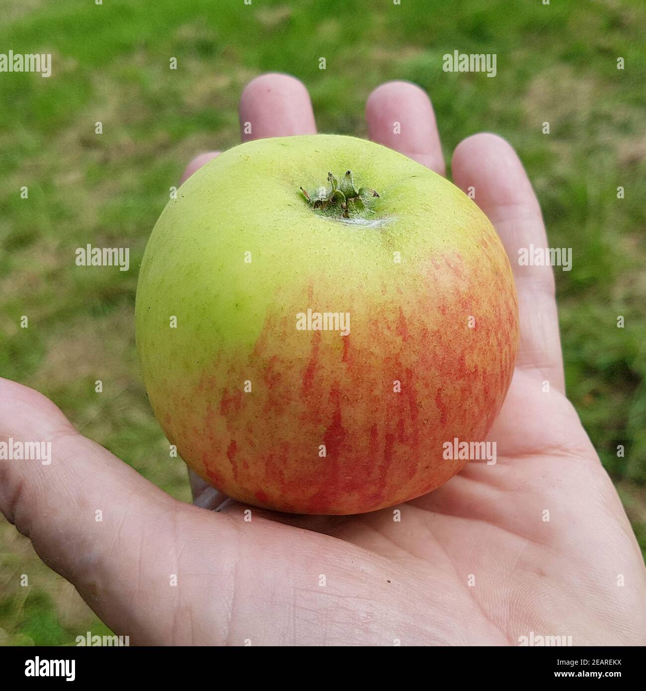 Variety prinz hi-res stock photography and images - Alamy