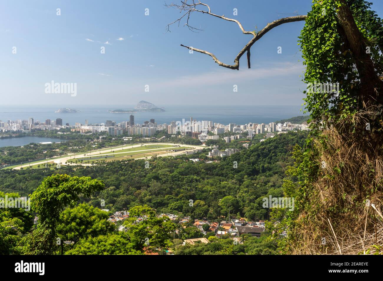 Beautiful rainforest view from Tijuca Park to city, Rio de Janeiro ...