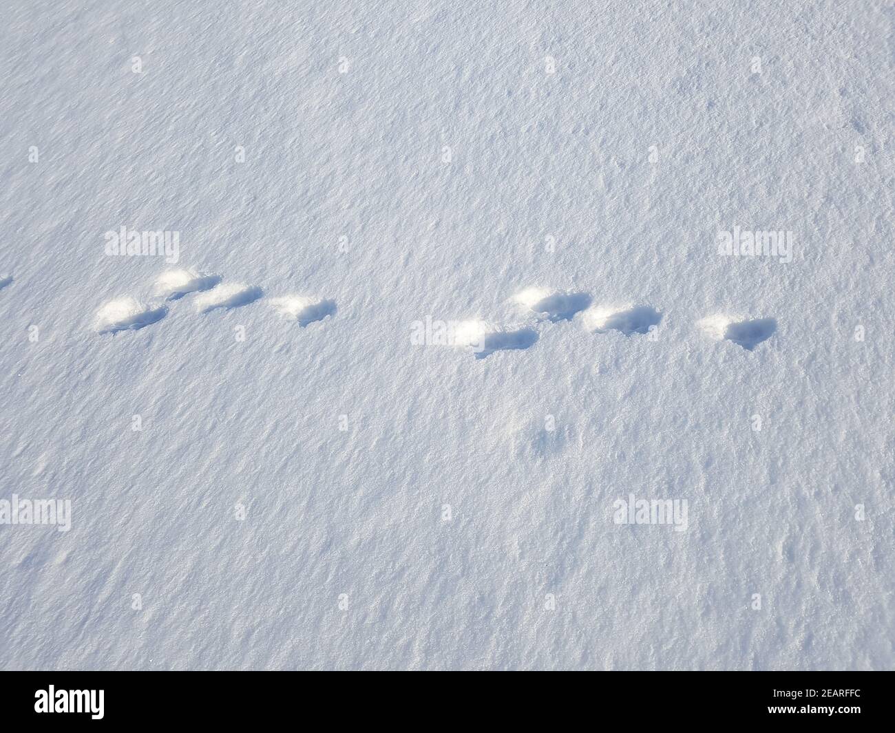 Spuren hi-res stock photography and images - Alamy