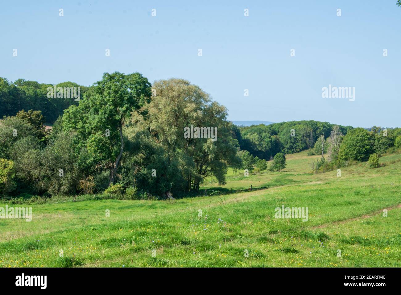 On the way on the Rennsteig hiking trail in Thuringia on the first ...
