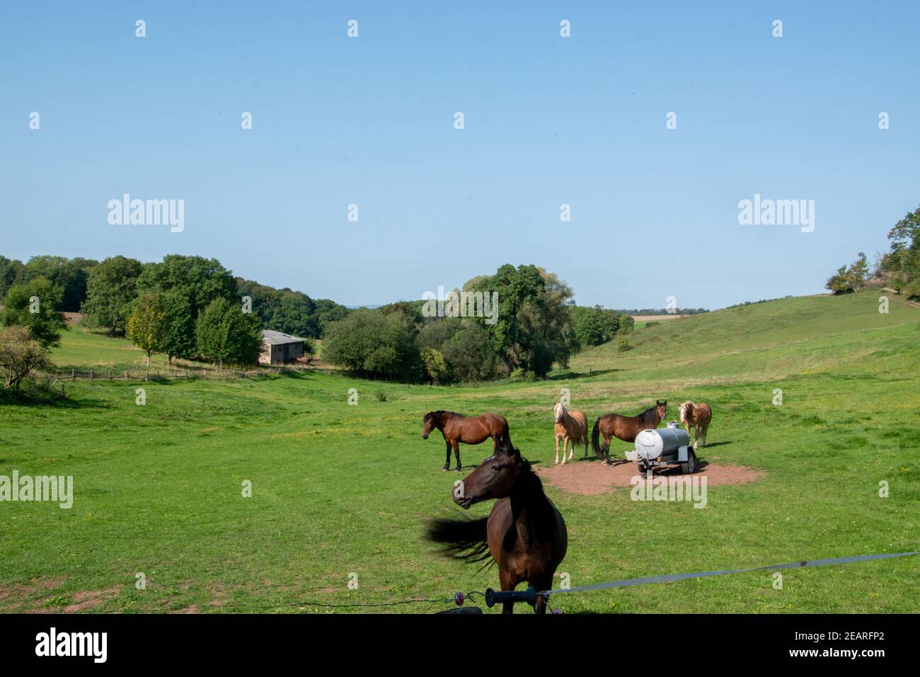On the way on the Rennsteig hiking trail in Thuringia on the first ...