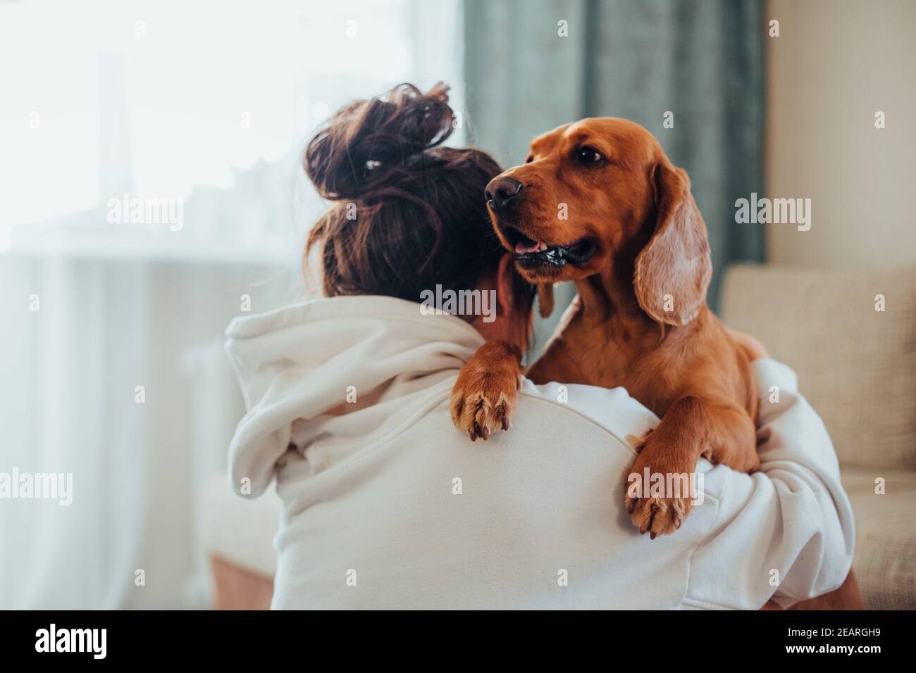 A lady girl hugged a Cocker Spaniel dog Stock Photo - Alamy