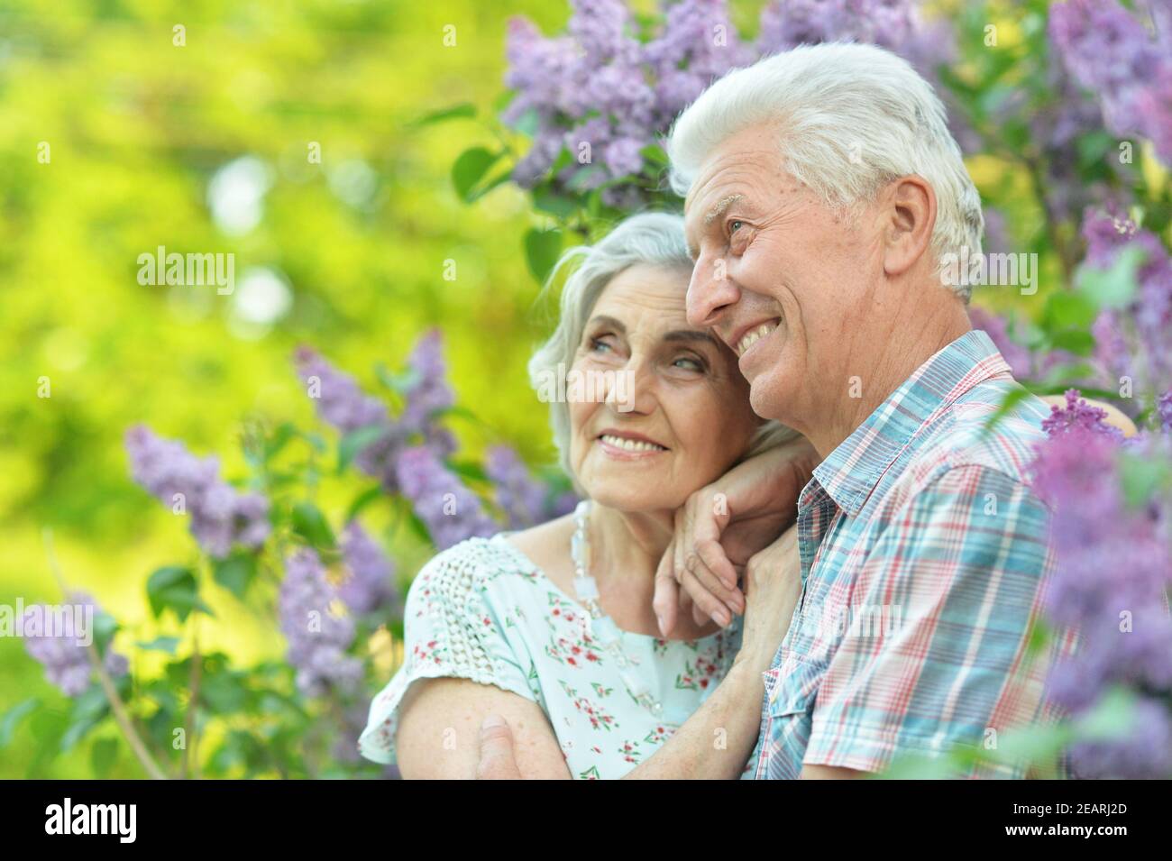 Portrait of a beautiful senior couple hugging Stock Photo - Alamy