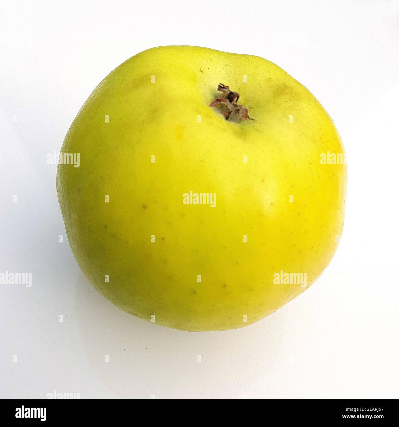 Pomme de Or, Alte Apfelsorten, Apfel, Malus, domestica Stock Photo - Alamy