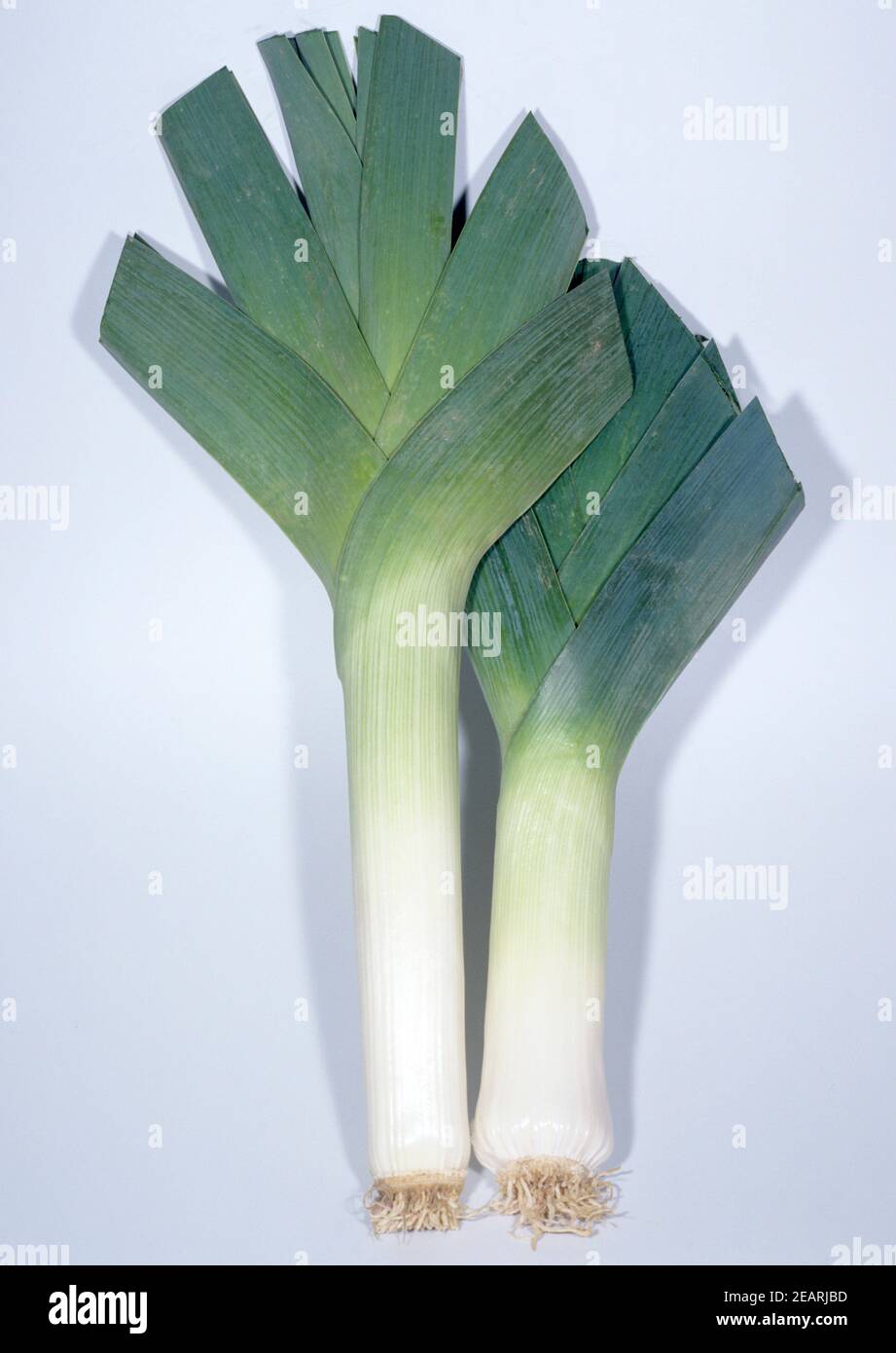 Porreeblueten hi-res stock photography and images - Alamy