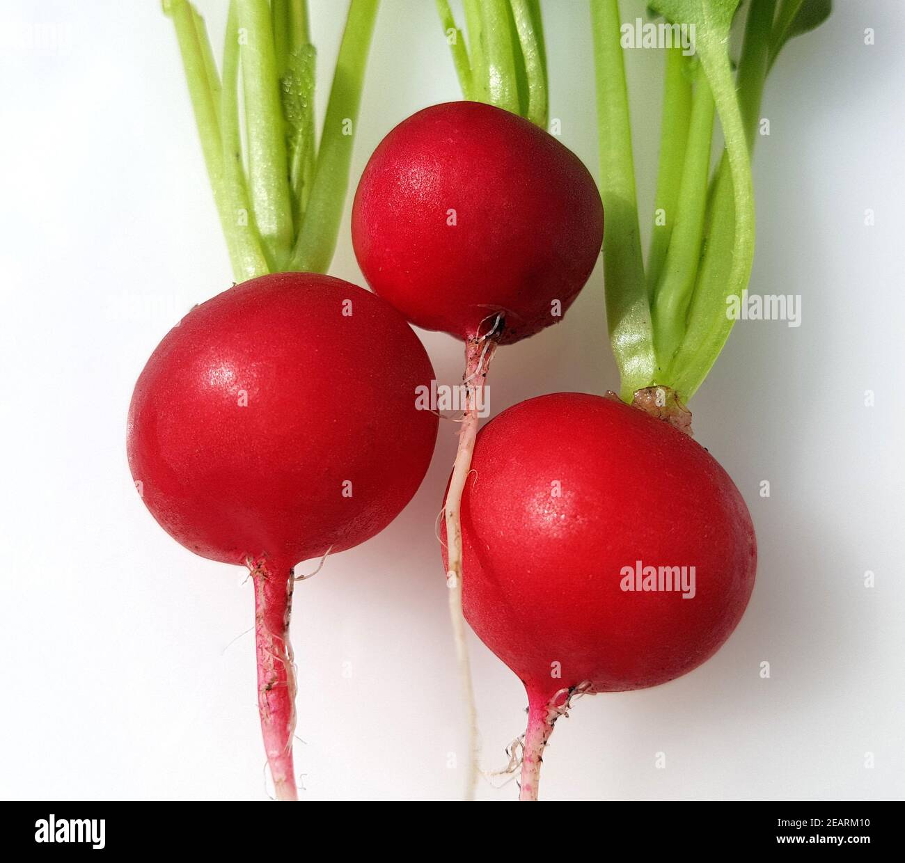 Radieschen hi-res stock photography and images - Alamy