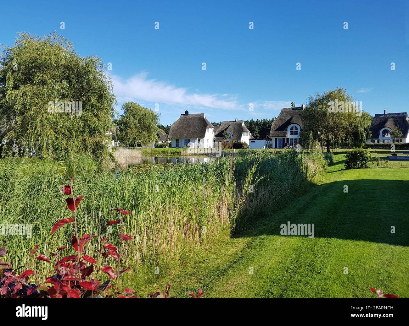 Reetdach haeuser hi-res stock photography and images - Alamy