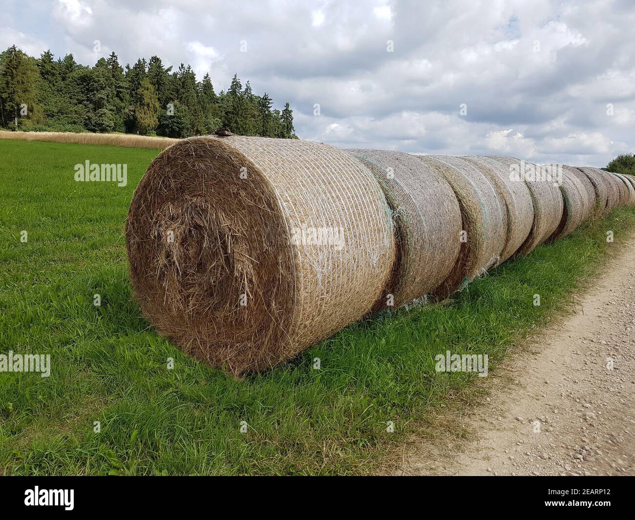 Grasballen hi-res stock photography and images - Alamy