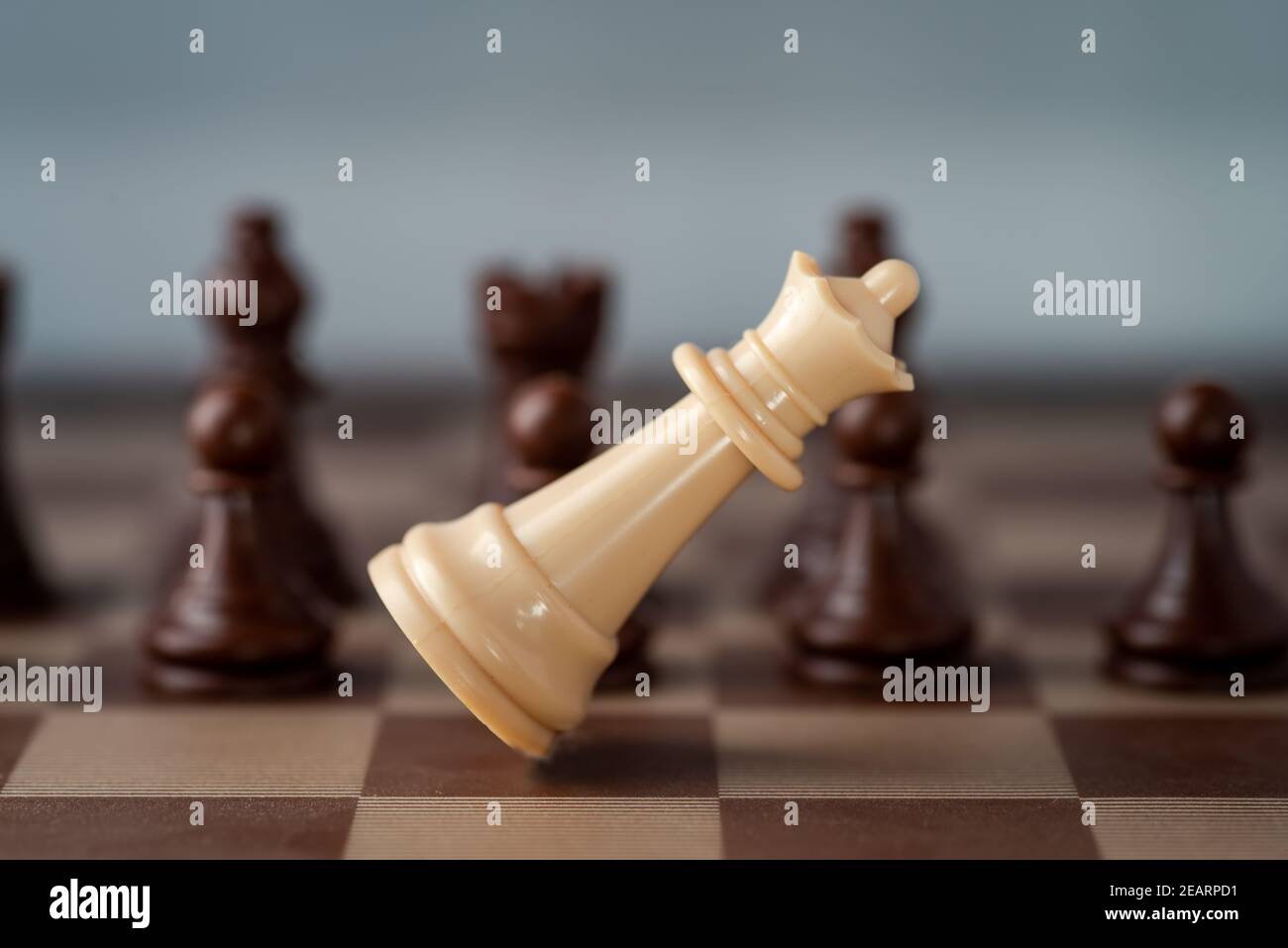 white chess castle falling on chess board concept of failing Stock ...
