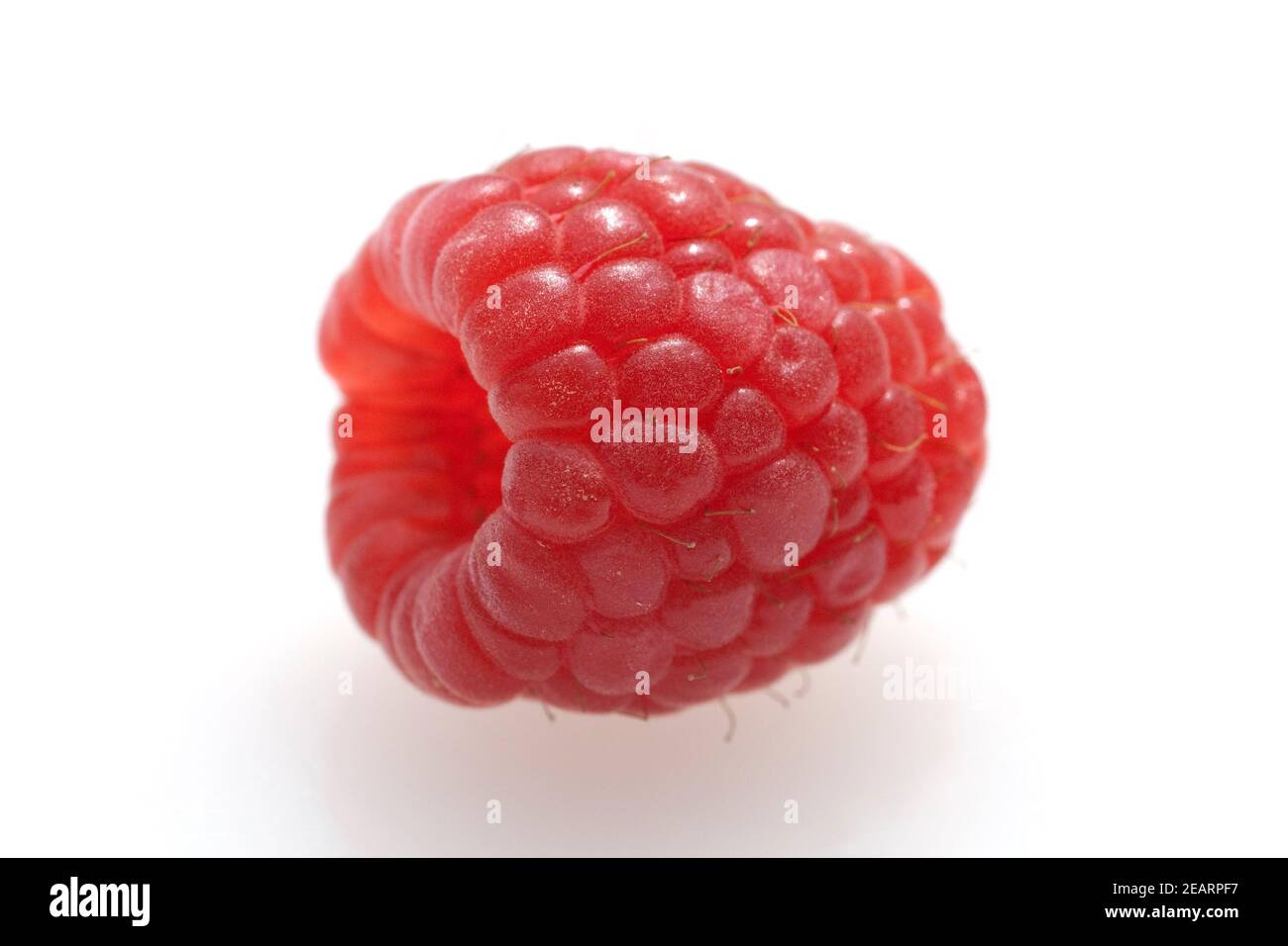 Waldbeere hi-res stock photography and images - Alamy