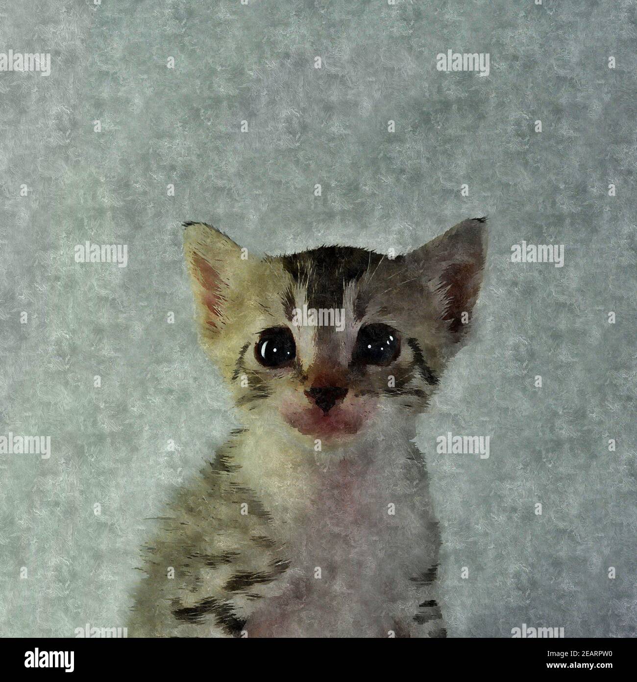 Little cute cat Stock Photo - Alamy
