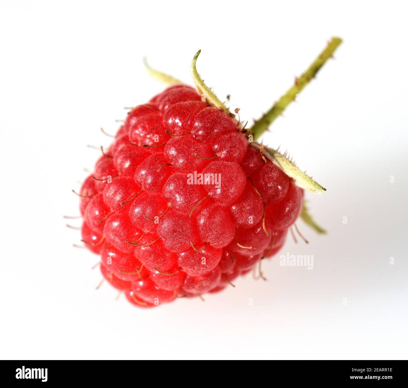 Himbeeren, Rubus, idaeus Stock Photo - Alamy