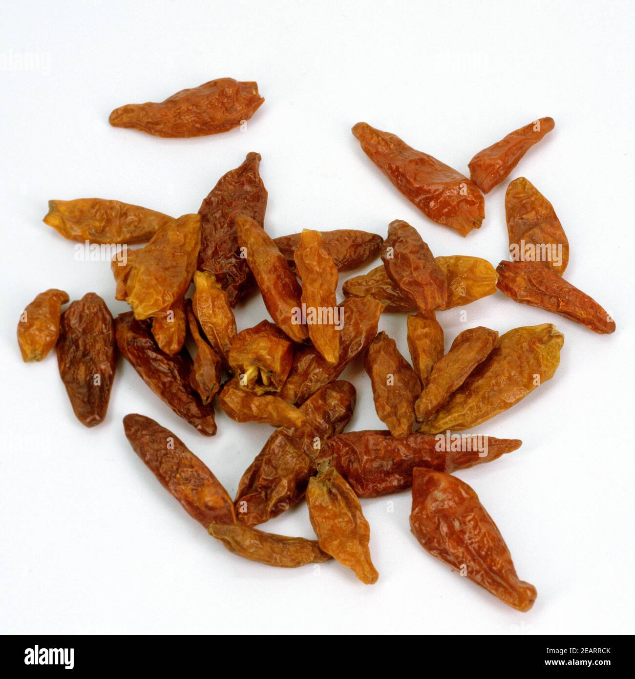 Capsicum annuum capsicum frutescens hi-res stock photography and images ...
