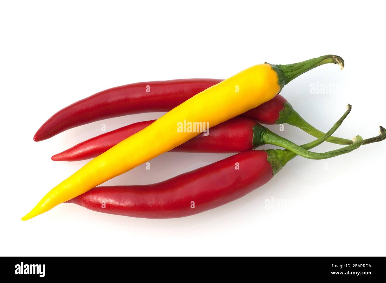 Chili, Capsicum; Annuum Stock Photo - Alamy